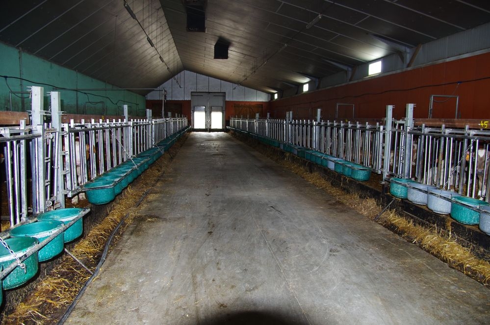 Ranch du Schloss : La Ferme